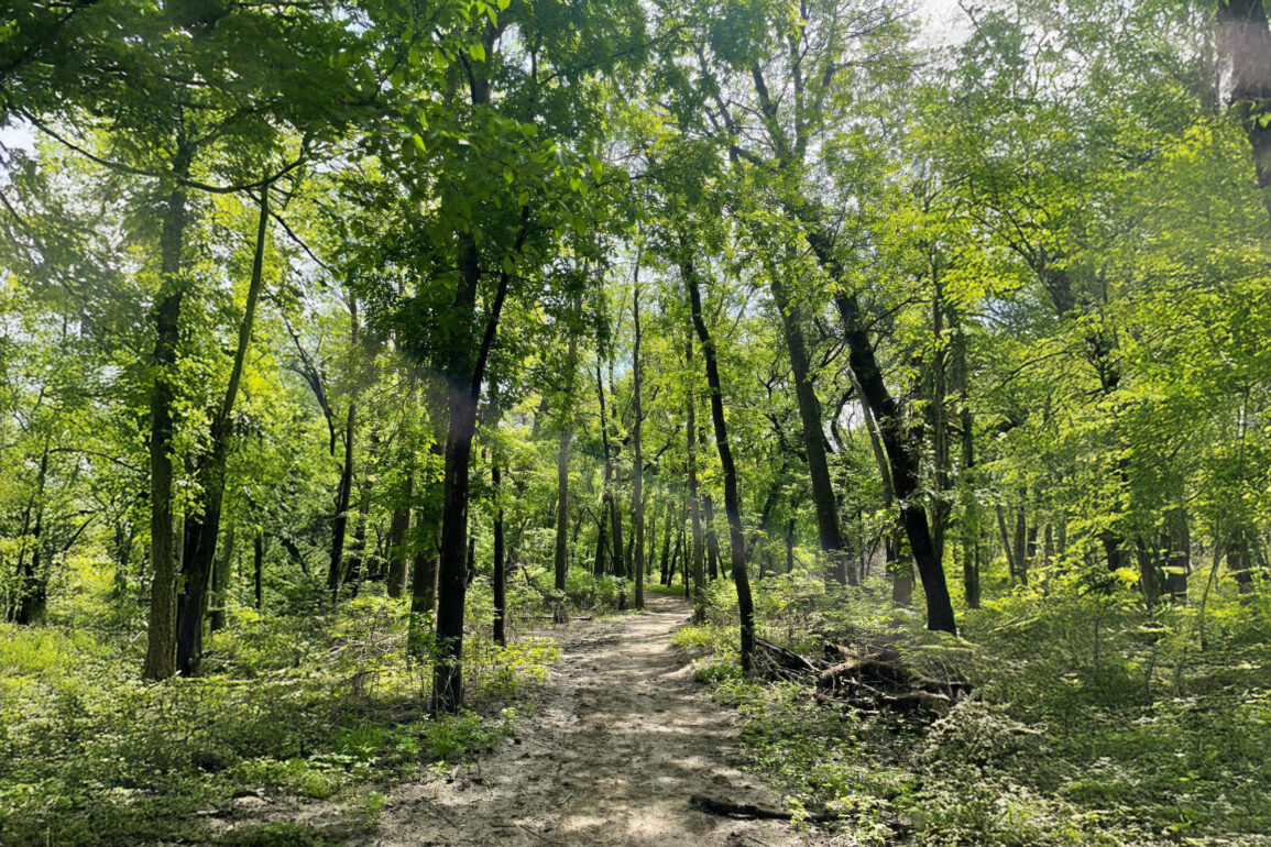 Red River Valley Fair Gears Up for 10 Days of Epic Concerts & Fun ...